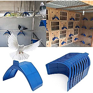 Dove Rest Stand, 10/20 Pcs Lightweight Pigeons Stand Frame Bird Perches for Pigeon and Other Birds, Plastic Racing Roost Dwelling Support Cage Accessories (20 PCS), Blue