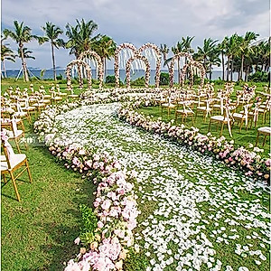 JUPOZOP 1000 PCS Artificial Fake Rose Petals for Wedding, Romantic Night for Her/Him Set, Engagement, Flower Decorations, Event, Party, in Bulk（Ivory）