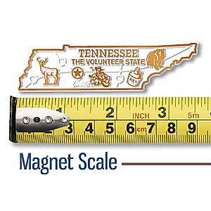 Tennessee Small State Magnet by Classic Magnets, 3.5" x 1", Collectible Souvenirs Made in The USA