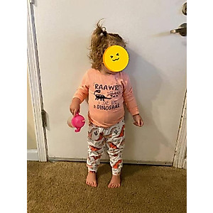 BOUTIKOME Toddler Baby Girls Clothes Sets Little Girl Dinosaur Long Sleeve Shirts Tops + Pants 2pcs Fall Winter Outfits(Pink,3T)