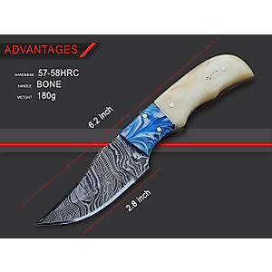 KNIFEIFY skinner fixed blade Knife: Handcrafted Elegance with Bone Handle - Perfect for Collectors and Outdoor Enthusiasts (CAMEL BONE)