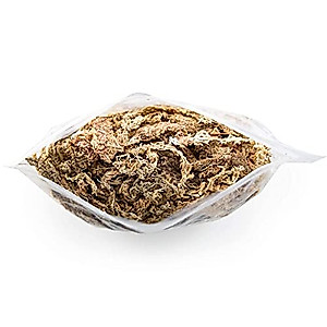 Josh's Frogs Bioactive ABG Substrate Vivarium Bundle- Extra Small