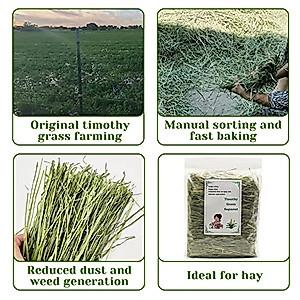 Hamiledyi Natural Timothy Hay Rabbit Hay Feed Guinea Pig Premium Grass Hay Small Animal Pets Hay Food for Bunny Chinchillas Chipmunkas (2.2Ib