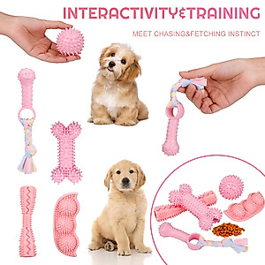 Fuyamp 5 Pack Puppy Chew Toys for Teething Puppies Soft Rubber Cute Pink Dog Toys Teeth Cleaning Teething Toy Soft Rubber Rope Dog Toys Funny Bone Ball Cleaning Teeth Dog for Small Medium Dogs