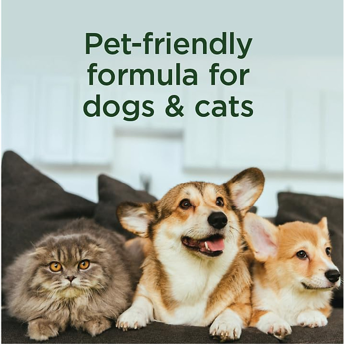 SimpleSource® Flea & Tick Home & Pet Spray, Powered by Plants, Kills Fleas, Flea Eggs, Flea Larvae, & Ticks, Kills & Repels Mosquitos, 32oz Bottle