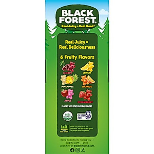 Black Forest Organic Gummy Bears Candy, 0.8 Ounce Pouches (65 Count)