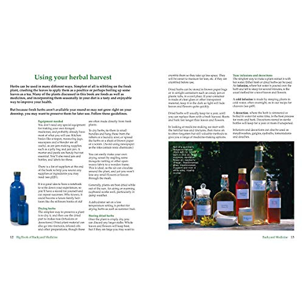 The Big Book of Backyard Medicine: The Ultimate Guide to Home-Grown Herbal Remedies