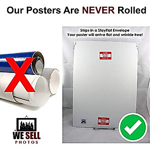 Theodore Teddy Roosevelt Quote: Man in the Arena Poster (13x19)