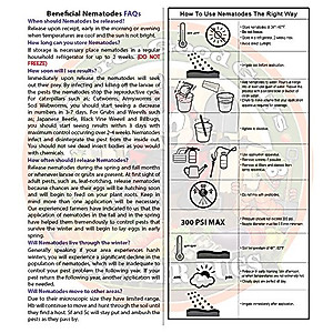 Bug Sales 10 Million Live Beneficial Nematodes Hb & Sf - Kills Over 200 Different Species of Soil Dwelling and Wood Boring Insects.