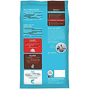 Solid Gold Dry Kitten Food - Made with Real Chicken and Sweet Potato - Touch of Heaven Grain Free Dry Cat Food for Kittens - Natural Support for Bone, Joint and Immune System Development