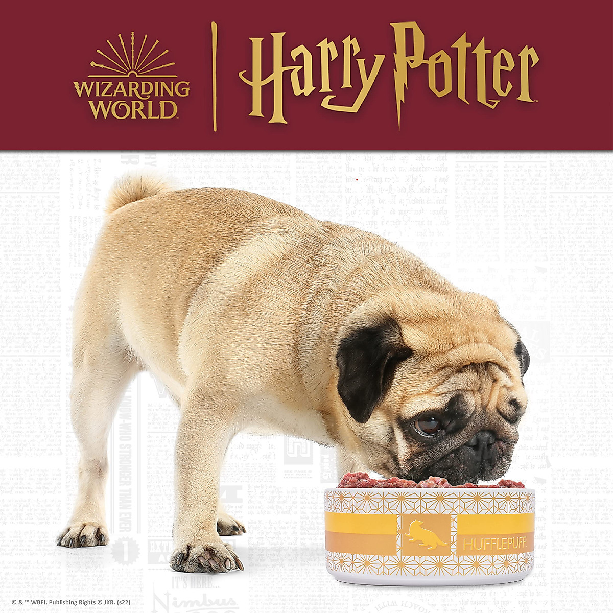 Harry Potter Hufflepuff Bowl for Pets | Harry Potter Dog or Cat Feeding Bowl | 3.5 Cups or 28oz Capacity Ceramic Dishwasher Safe Pet Dish, Yellow Hufflepuff Pet Dish