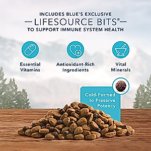 Blue Buffalo Wilderness High Protein Natural Adult Dry Dog Food Plus Wholesome Grains, Salmon 4.5-lb