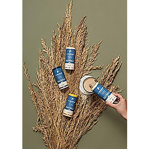 La Colombe Oatmilk Coffee - Draft Latte, Coffee Caramel, 9 Fl Oz (Pack of 12)