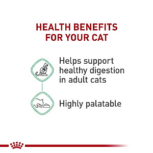 Royal Canin Digestive Care Thin Slices in Gravy Wet Cat Food, 3 oz can (12-count)