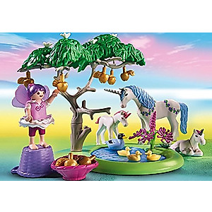Playmobil Fairies with Toadstool House Building Kit