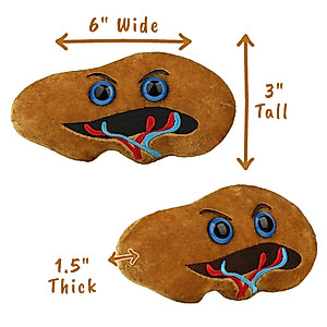 GIANTmicrobes Spleen Plush, Spleen Stuffed Animal, Stuffed Spleen, Spleen Removal, Spleen Funny, Spleen Pillow, Spleen Plush Toy, Stuffed Spleen Plush, Plush Spleen, Spleen Toy, Spleen Surgery Gifts