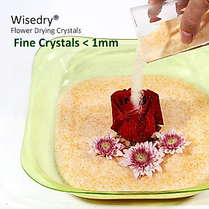 wisedry Silica Gel Flower Drying Crystals - 5 LBS, Color Indicating, Reusable