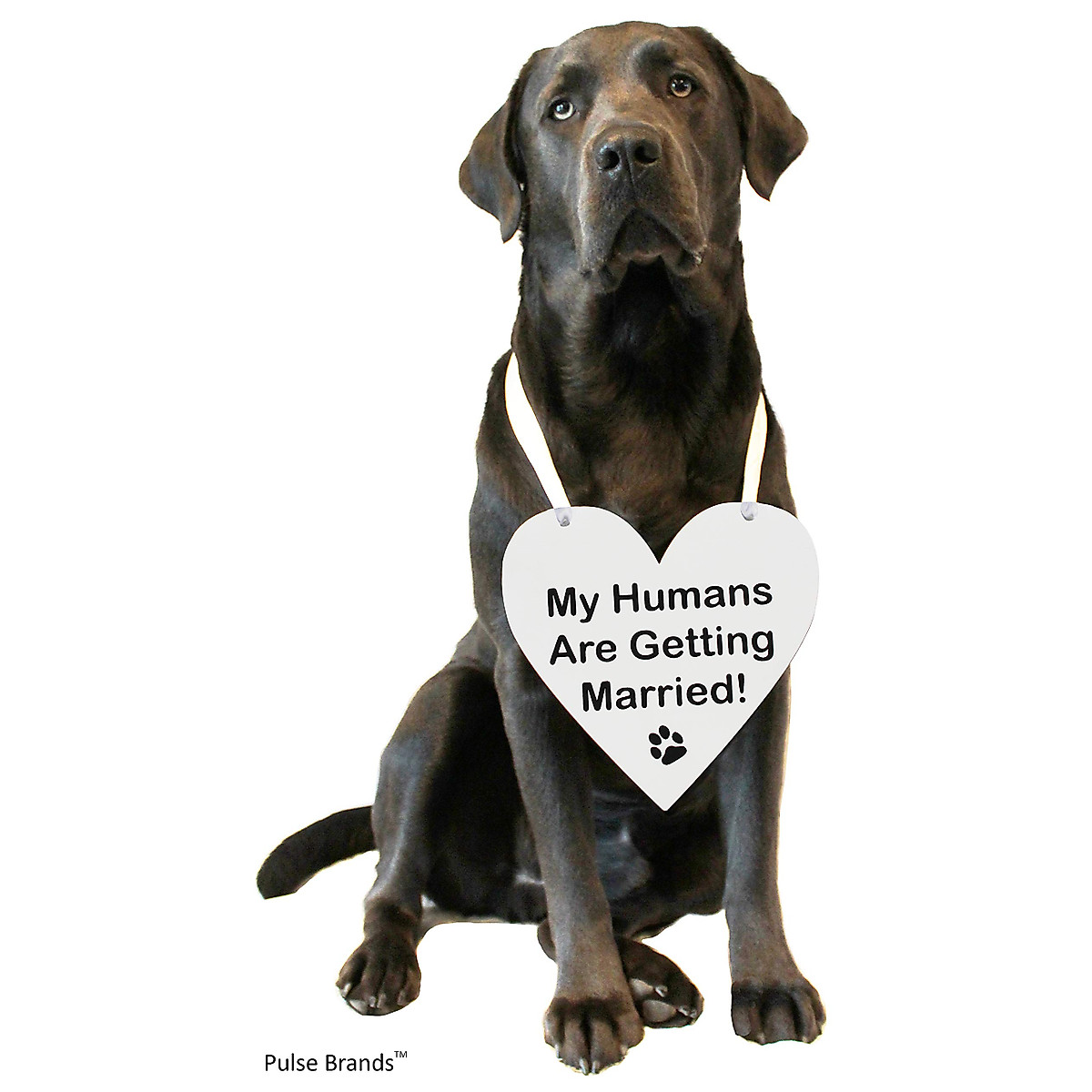 Pulse Brands Engagement Photo Prop Sign - My Humans are Getting Married - Engagement Gifts - Bride to Be - Engaged - Engagement Gifts for Couples (White)