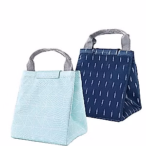 2 Pack Insulated Lunch Bags, Work Travel Picnic School Bento Lunch Bag - Durable & Waterproof Lunch Organizer Lunch Tote for Men, Women and Kids