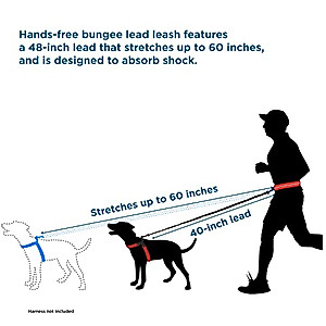 BLACK+DECKER Hands Free Dog Leash, for Jogging, Cycling and Training w. Adjustable Belt and Retractable Bungee, Dual Handle Bungee Waist Leash for Up to 150 lbs Large Dogs, Red