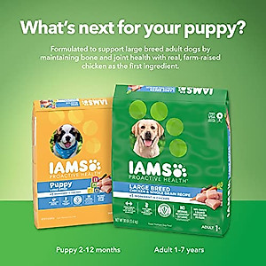 IAMS Smart Puppy Large Breed Dry Puppy Food with Real Chicken, 30.6 lb. Bag