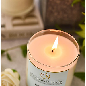 Chloefu LAN Farmhouse Spiced Pumpkin Candle Fall Candles Large Jar, 100% Natural Soy Candle for Home Scented,Highly Scented,100 Hours Long Burning Candle, 14.1Oz, Glass Jar Candle Gifts for Halloween