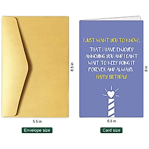 Chenive Happy Birthday Card for Husband Wife, Funny Birthday Card for Boyfriend Girlfriend, Romantic Bday Greeting Card, Enjoyed Annoying You Card