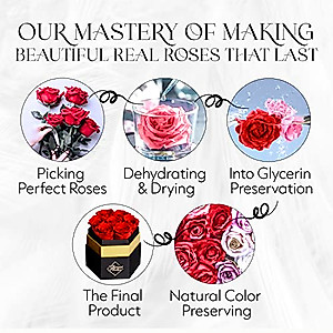 GLAMOUR BOUTIQUE 7-Piece Forever Red Rose Box - Preserved Roses in a Box, Immortal Roses in a Box That Last A Year - Eternal Rose Preserved Flowers for Delivery Prime Mothers Day & Valentines Day