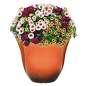 Classic Home and Garden Honeysuckle Resin Flower Pot Planter, Tequila Sunrise, 15"