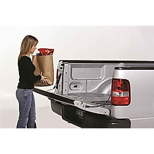 Dee Zee DZ43203 Tailgate Assist Shock