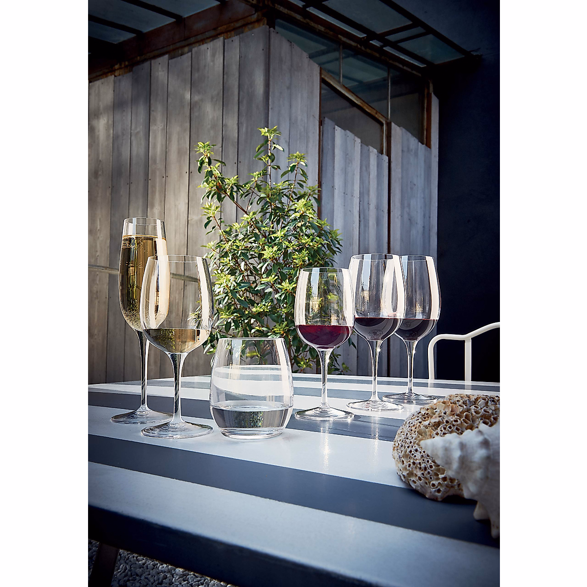 Luigi Bormioli Palace 11 oz White Wine Glasses (Set Of 6), Clear