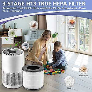 Cayman 608/320 Filter Compatible with Okaysou Cayman 608/320 Air Purifie-r, 3-in-1 True HEPA, High-Efficiency Activated Carbon, Pre-Filter for Cayman 608 & Cayman 320, 2 Pack