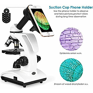 40X-1000X Microscopes for Students Kids Adults, Cordless Biological Compound Monocular Microscopes with Microscope Slides Set, Phone Adapter, Dual LED Illumination Power Optical Glass Lenses