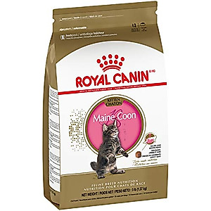 Royal Canin Feline Breed Nutrition Maine Coon Kitten Dry Cat Food, 3 lb