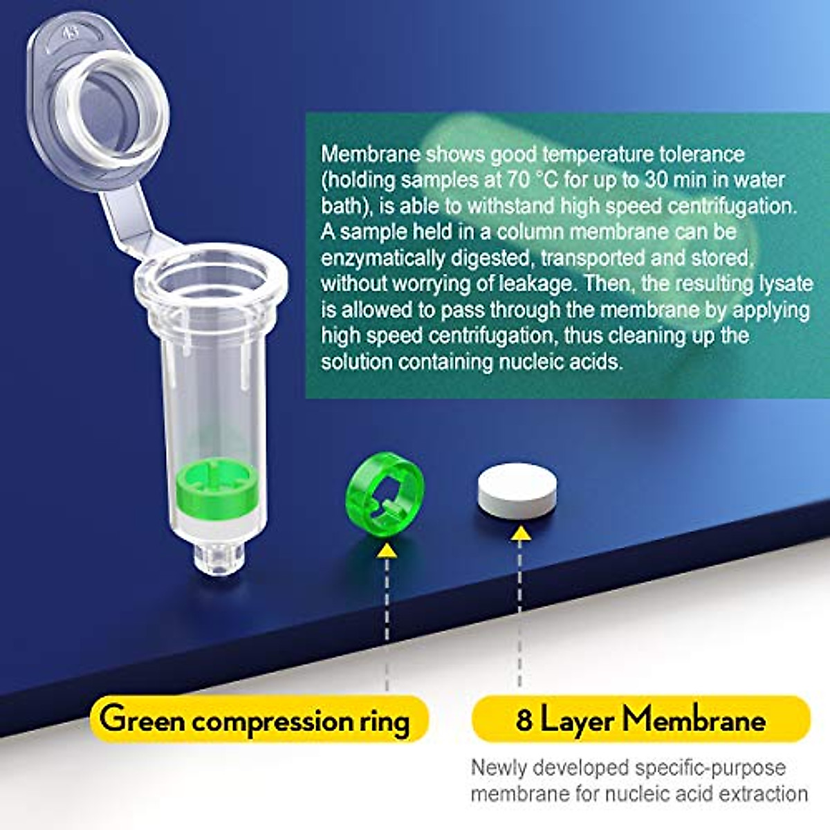 50Pcs 2mL Spin Column Micro centrifuge Tube Nucleic Acid Purification Column for Genomic DNA/RNA Purification, High Speed Plasmid Column & Collection Tube Kit by Biomed Scientific