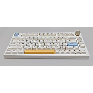 NJ80-AP Wireless Mechanical Keyboard with Knob Bluetooth 5.0/2.4G/Wired Connection 75% Hot Swappable Custom RGB Programmable Gaming Keyboard with PBT Keycap for Win Mac