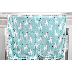 Top Tots Deluxe Minky Baby Blanket - Halloween Costumes, 40 x 29 Inch Orange