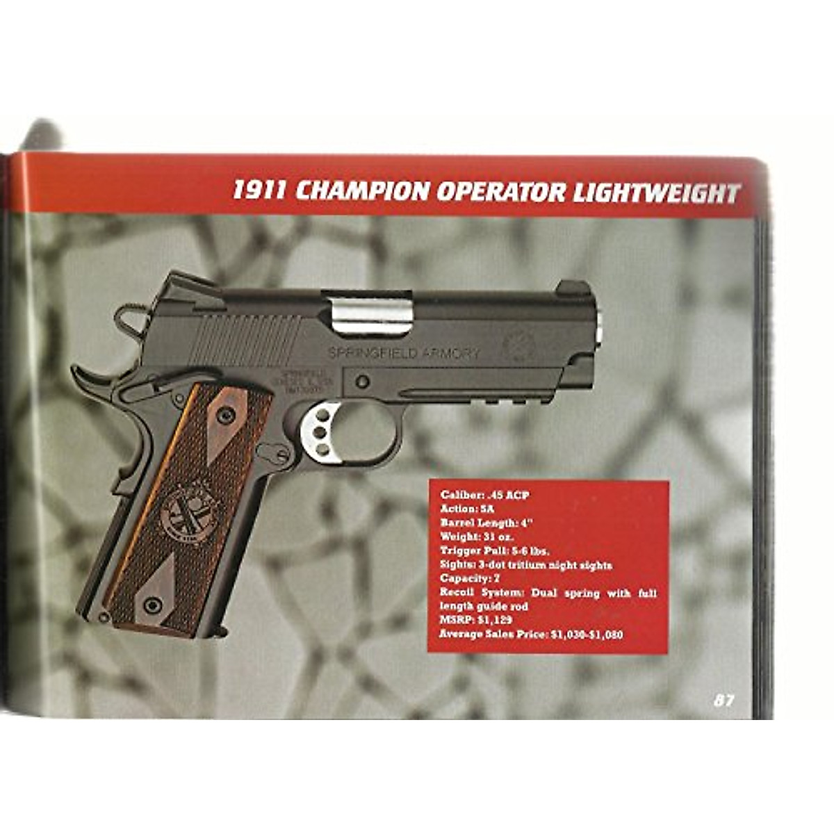 CARRY GUN COMPANION, 2nd AMENDMENT MEDIA (HIGHLIGHTING HANDGUNS FOR TODAY'S CONS