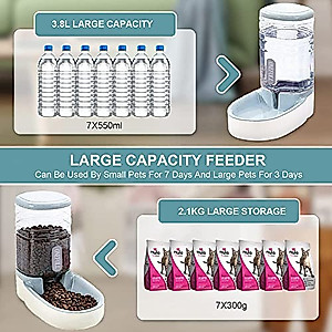 Automatic Pet Feeder 3.8L Food Feeder and Water Dispenser Set for Small & Big Dog Cat and Pet Animals (Grey)