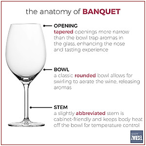 Schott Zwiesel Tritan Crystal Glass Banquet Stemware Collection All Purpose Wine Glass, 8.6 Ounce, Set of 6,