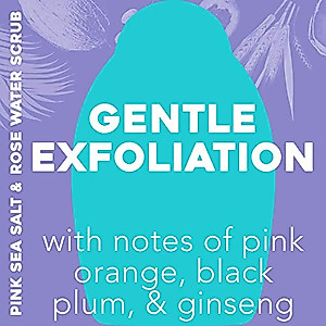 OGX Pink Sea Salt & Rosewater Gentle Soothing Body Scrub, Light Exfoliating Body Wash, Sulfate-Free, 19.5 Ounce, 1.0 Count