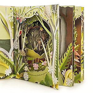 A Walk Through the Woods