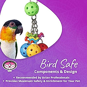 Super Bird Creations SB1093 Jingleberries Bird Toy, Small/Medium Bird Size, 6" x 2.5" x 2.5"