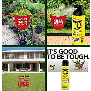 Raid Multi Insect Killer, Kills Ants, Spiders, Roaches and Flies, for Indoor and Outdoor use, 15 Oz (Pack of 4)