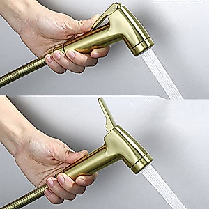 MINJING Hand Held Toilet Bidet Sprayer, ABS Plastic Douche Kit, Brushed Gold Bidet Faucet Shower Head,D Set