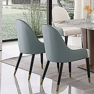 Montary Dining Chairs Set of 2, Mid Century Modern Faux Leather Chair with Solid Wood Metal Legs and Ergonomic Backrest for Living Kitchen Dining Room Chairs (Not Include Table)