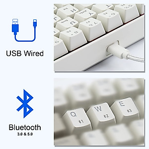 Newmen GM610 60% Wireless Mechanical Gaming Keyboard,Wired/Bluetooth Keyboard,RGB Backlit,61 Anti-Ghosting Keys,Programmable,Hot-Swappable,for Windows Mac Android (Brown)