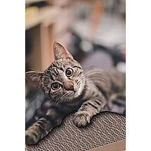 ShioSel, Cat Scratch Pads, Scratcher Cardboards Scratching Pads, Catnip Included, 5-Pack (Slim)
