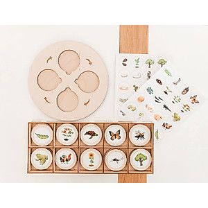 Montessori Life Cycle Puzzle Board Kit, Life Cycle Puzzle Kit of Animals, Plants and Insects, Toddler Puzzle Development Toys, Early Educational Toy for 3~6 Years Old Preschool Kids