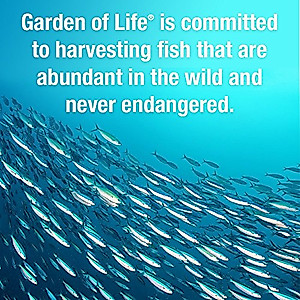 Garden of Life Oceans 3 Healthy Menopause Hormonal Support Softgels, 525mg EPA, 350mg DHA + Botanicals for Women, Skin, Heart Health, Emotional Well-Being, Strawberry, 90 Count